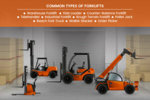 How to Choose the Right Forklift for Your Business - NovaLift Equipment Inc